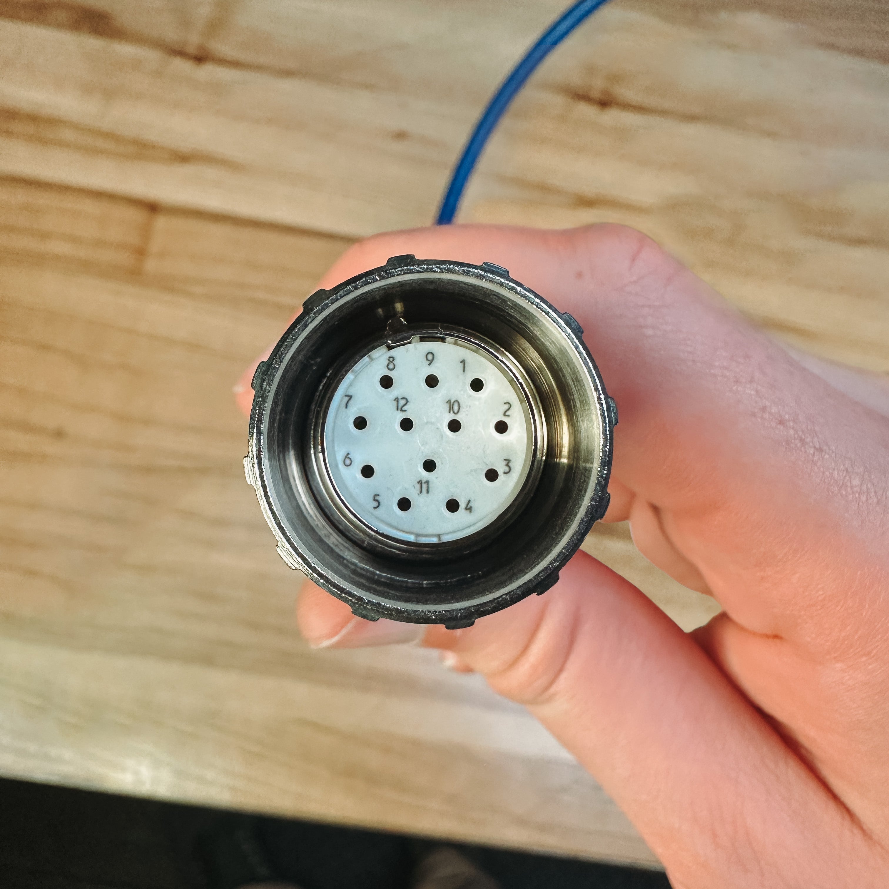 OE F00047-SIE-1FT-M23-HALL | Feedback Cable – Octava Engineering